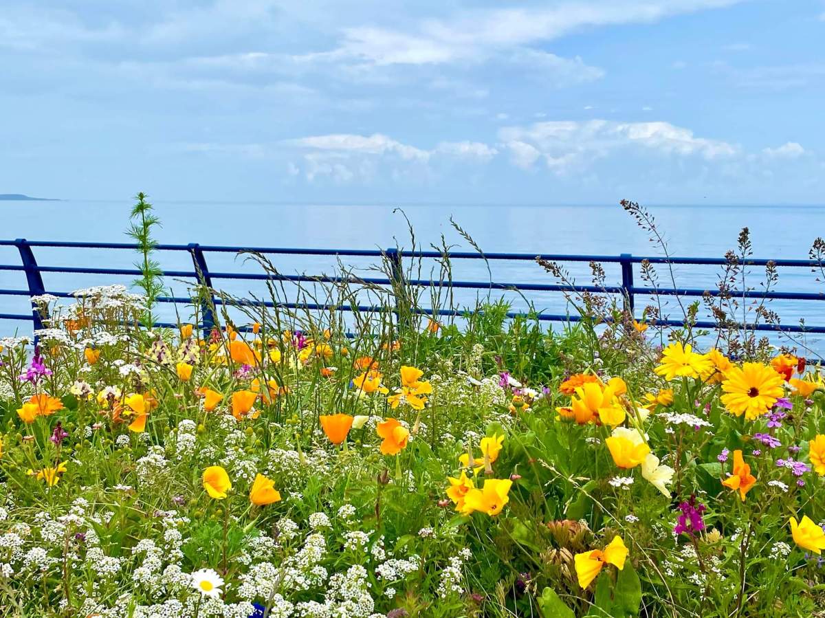 The North Channel – Sarah Thomas